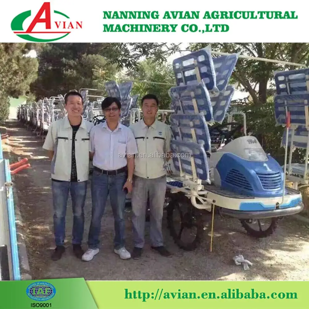 Agriculture Planter 6 Rows Manual Paddy Rice Transplanter - Buy Rice ...