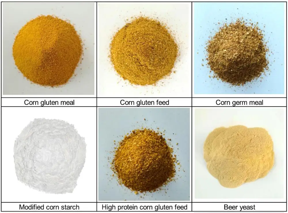 High Quality Single Cell Protein For Animal Feed - Buy Fish Feed,Single ...