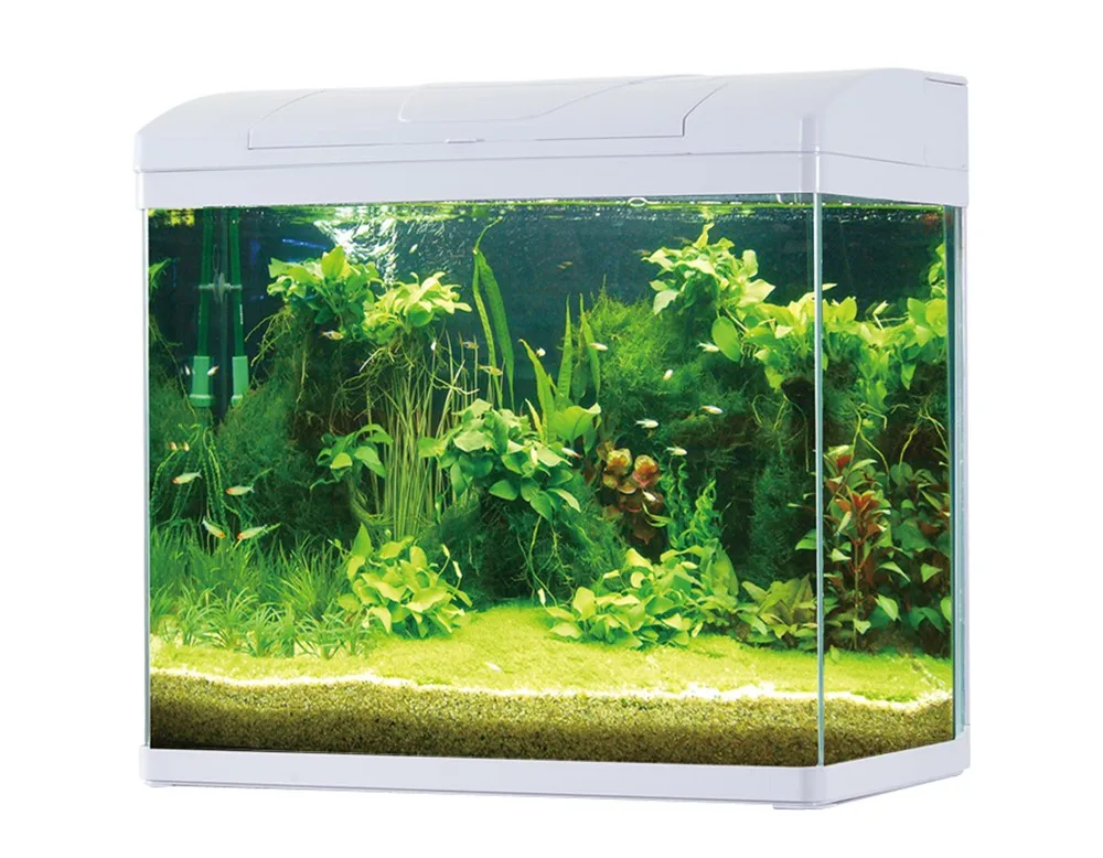 Wholesale Curved Modern Bar Counter Aquarium Fish Tank - Buy Aquarium ...