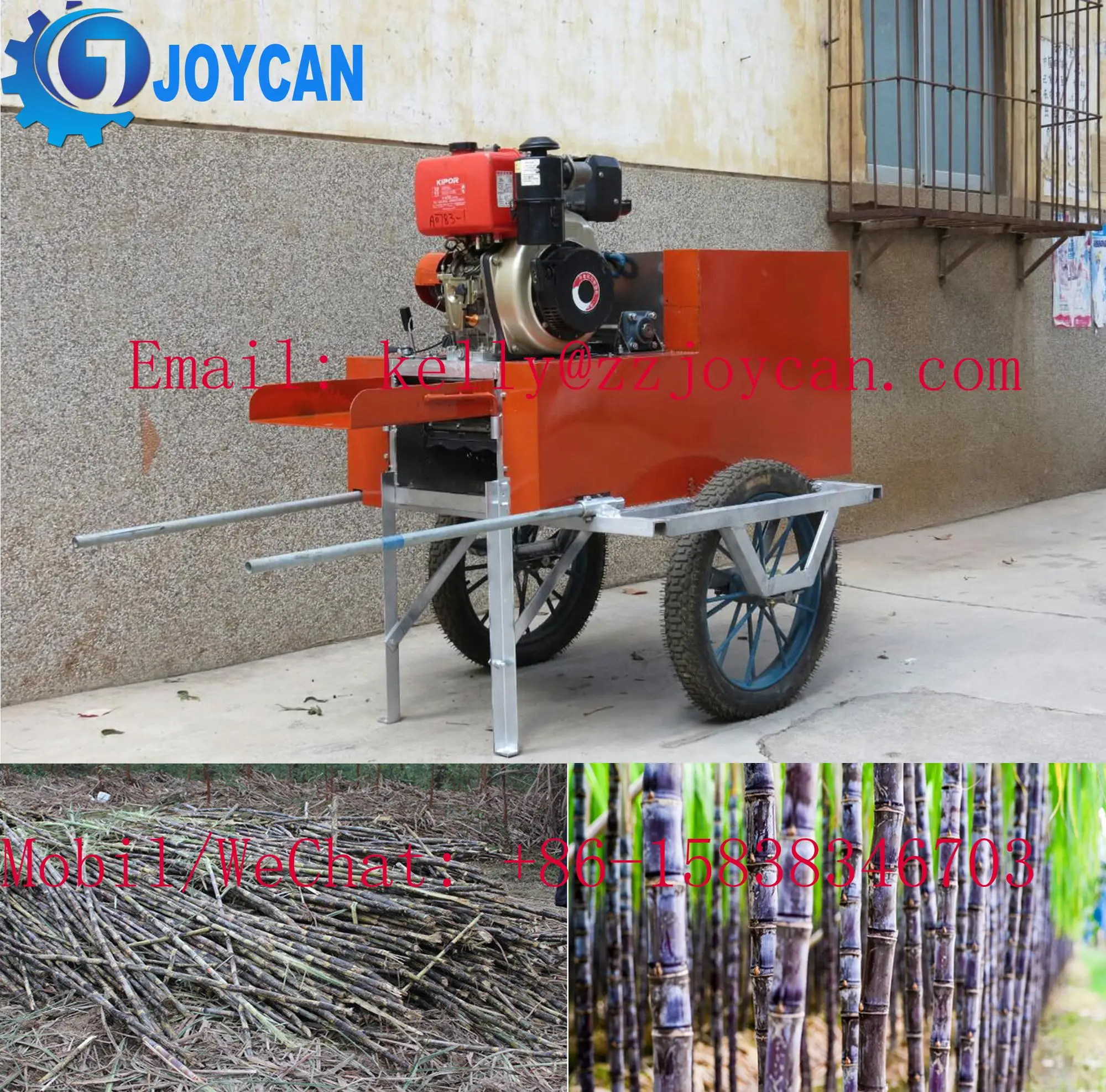 Sugarcane Leaf Peeler Machine Fresh Sugarcane Leaf Remover Stripping ...