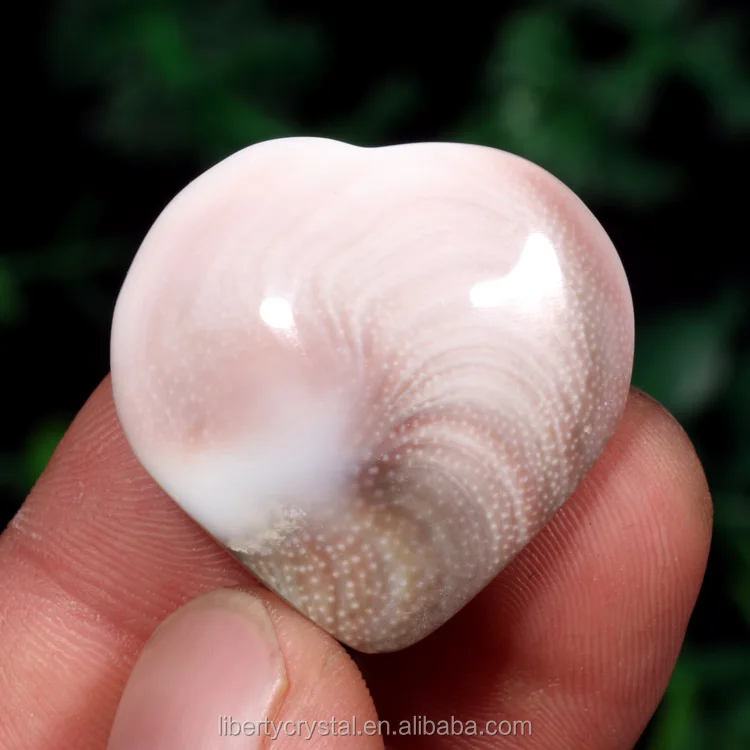 Smooth Polished Natural Stone Sea Shell Crystal Stone Fossils - Buy ...