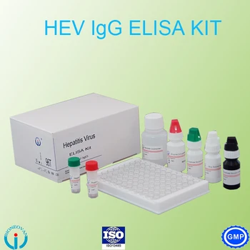 Medical Diagnostic Elisa Kit Hepatitis E Virus Hev Igg Elisa Test Kit ...