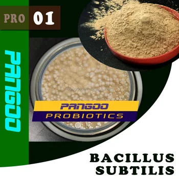 Bacillus Subtilis Feed Additives Shrimp Probiotic Billion Cfu - Buy ...