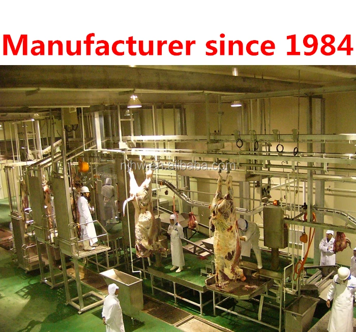 Cattle Slaughterhouse Equipment Stepping Carcass Processing Conveyor ...
