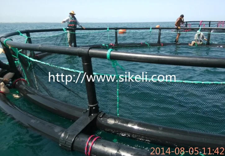 Sea Cage Fish Farming,Sea Bass/sea Bream/grouper Breeding Cages - Buy ...