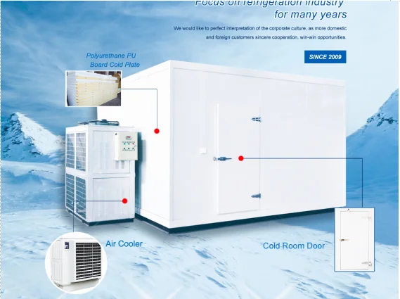 Small Cold Storage Refrigerator Freezer 5000t Tomato Cold Storage Room ...