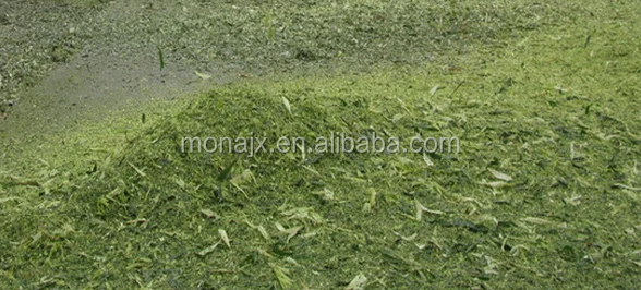 Rice Straw Silage Chopping Machine/feed Grass Chopper Machine/lawn ...