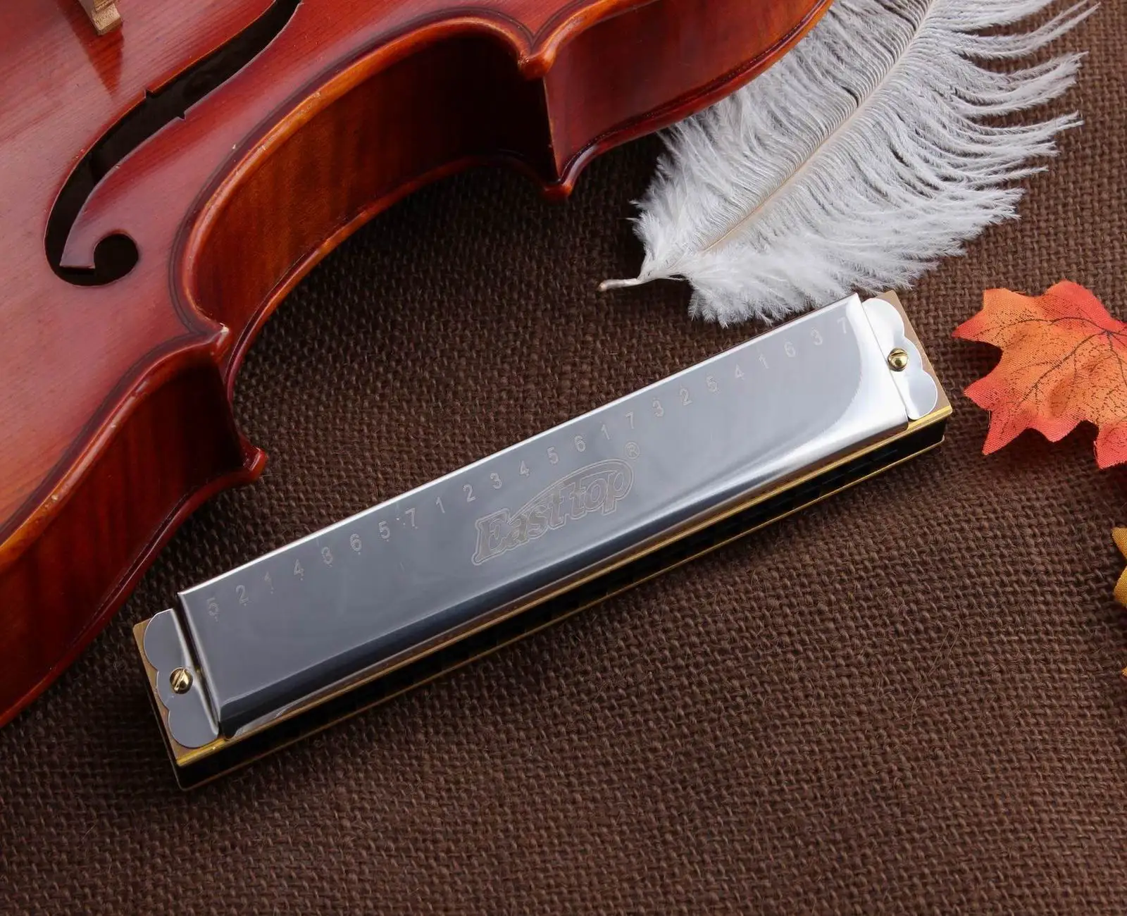 T2401s Easttop Tremolo Harmonica 24holes Harmonica Musical Instrument ...