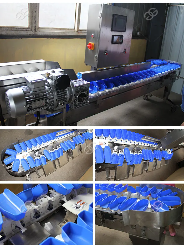 GELGOOG Equipment Mango Grading Machine Cherry Fruit Tomato Sorting ...