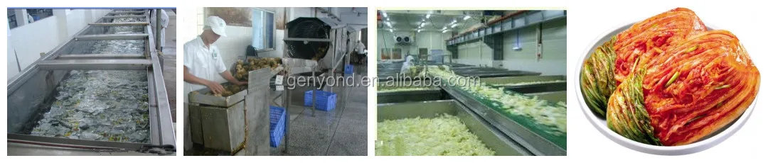Efficient Pickled Vegetable Production Line - Kimchi Machine