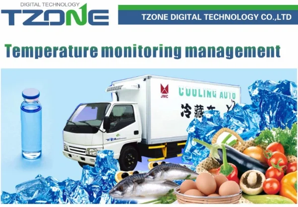 Tzone Thermograph Usb Temperature Data Logger For Cold Chain Reefer Container - Buy Thermograph ...