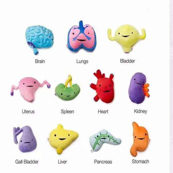 Stuffed Microbes / Plush Bacteria Organs Plush Toys Giant Plush ...