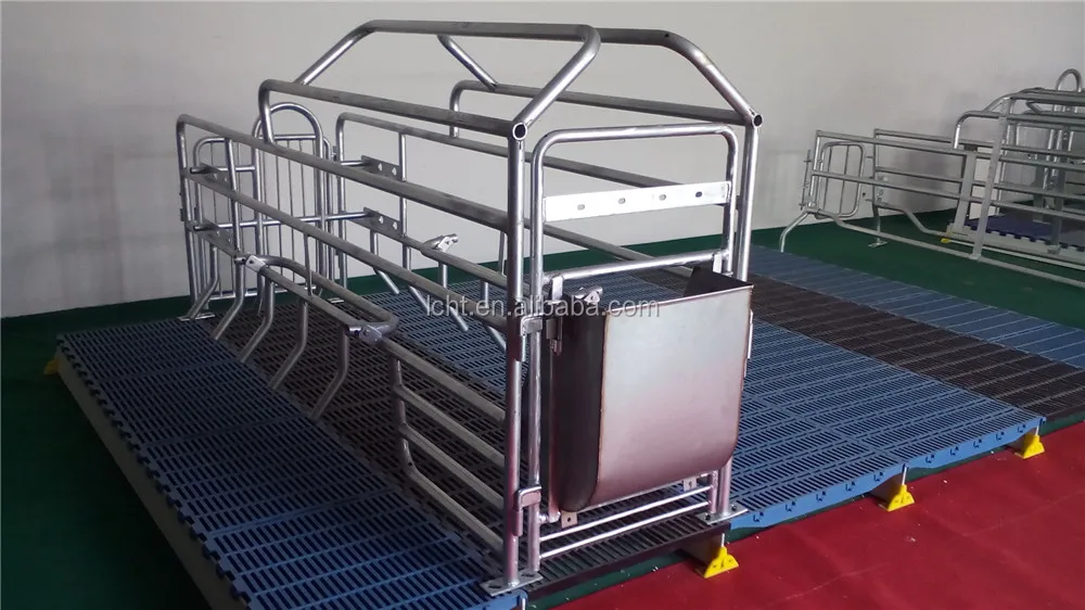 Farrowing Crate With Pvc Fence Or Grill Fence - Buy High Quality ...