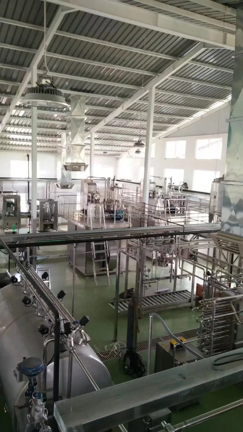 Dates Paste Production Line - Efficient & Automatic