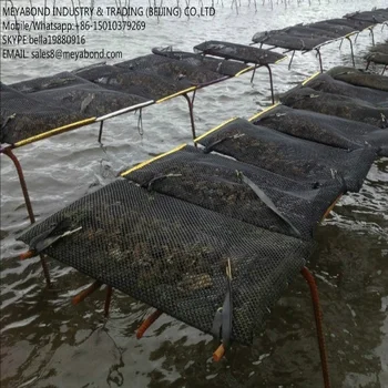 Oyster Farming Use Oyster Mesh Bags Oyster Grown Bags In Canada Market ...
