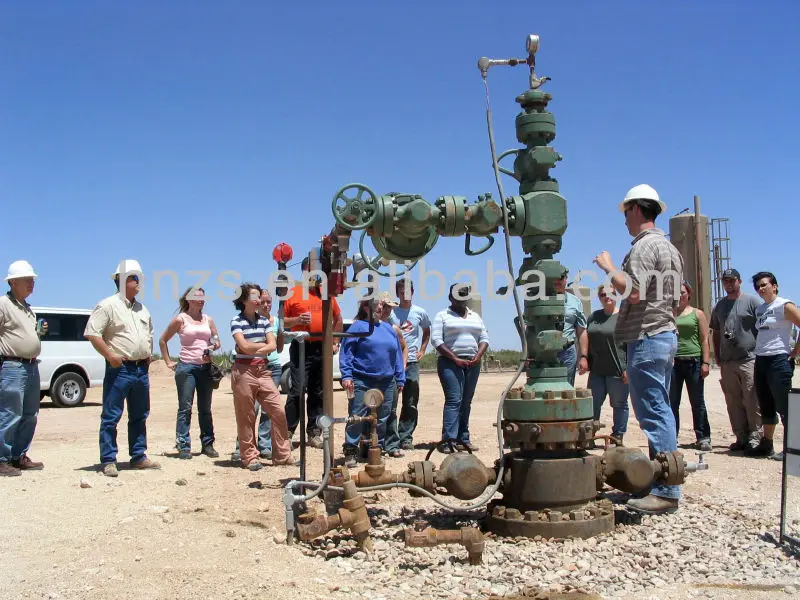 Oil Field Christmas Tree: Durable Carbon Steel for Well Drilling | API ...