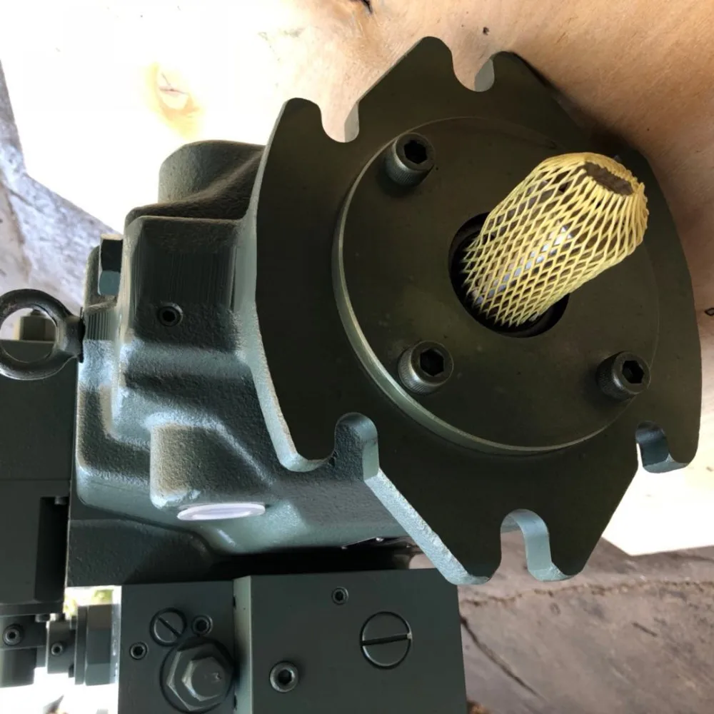 Hydraulic Piston Pump A70-fr04-hs-60 A70-l-r-01-c-s-60 A70-l-r-01-b-s ...