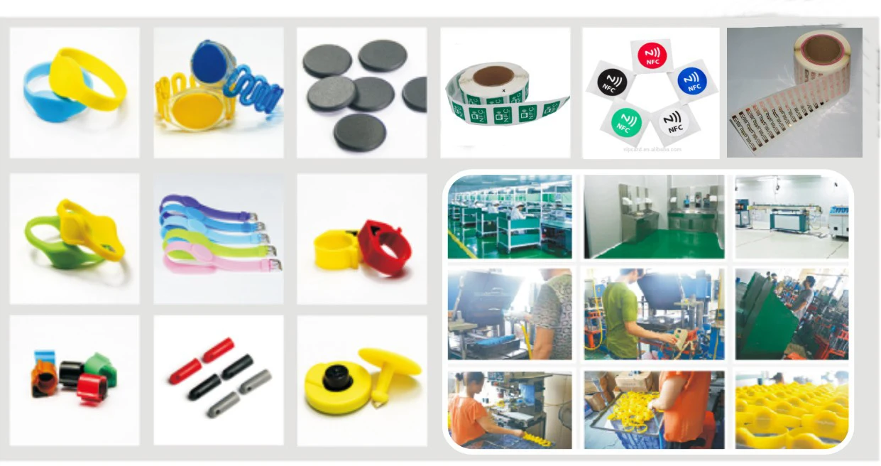 125khz Glass UHF RFID Nail Fish Tracking Microchip Racing Pigeon Chip ...