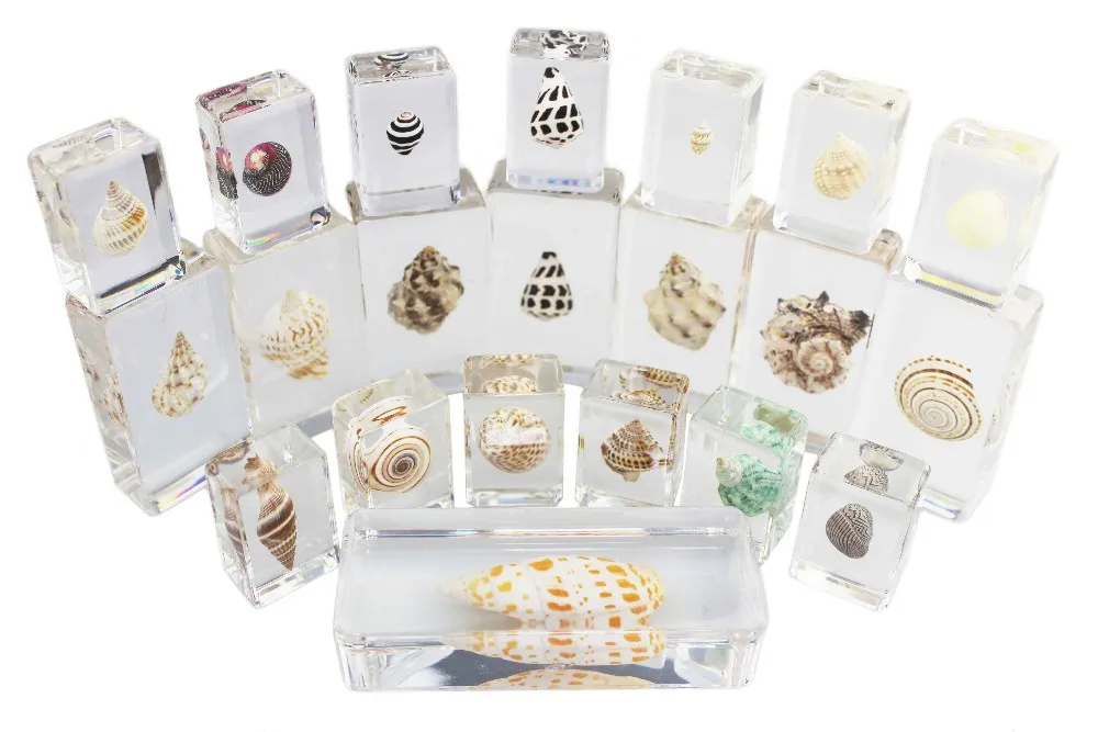 Botanical Flower Resin Paperweights - Art & Gifts