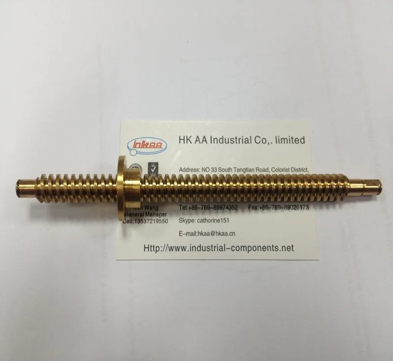 Top Quality Stainless Steel Trapezoidal Thread Spindle Screw Shaft ...