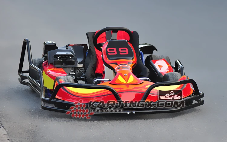 Mini Racing Go Karts For Sale - Buy Racing Go Kart,Racing Go Karts For ...