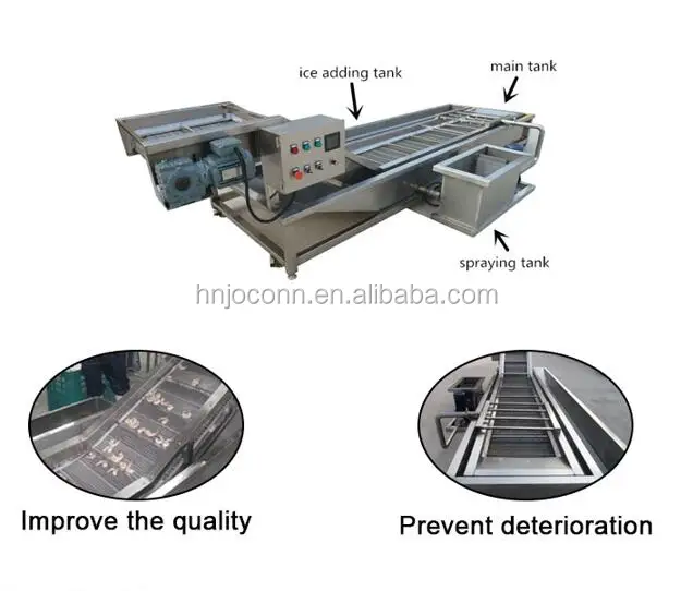 Frozen Fish, Shrimp, and Meat Ice Coating Machine by JOCONN