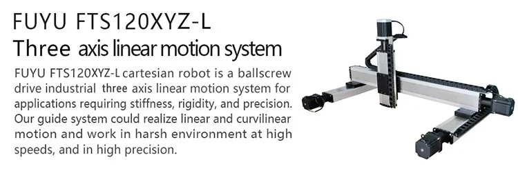Cartesian Robot Arm Linear Motion Gantry System Ball Screw