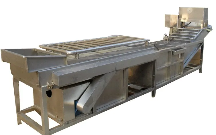 High Efficiency Raisin Color Sorter - Professional Fruit Machine