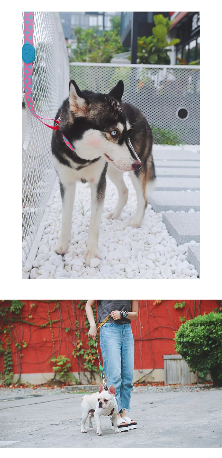 HiDREAM Profusion Dog Leash - china pet dog leash supplies wholesale ...