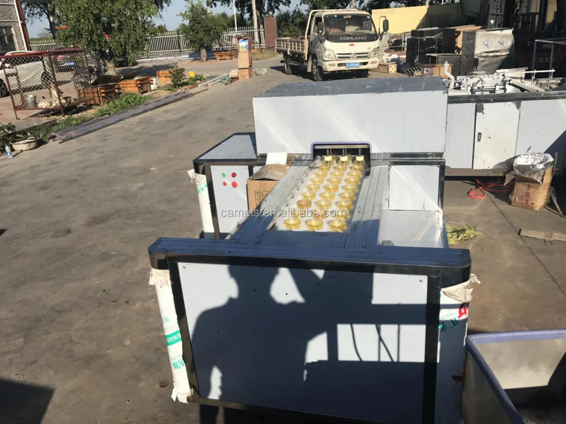 Automatic Peach Pitting Machine/apricot Pitting Machine/mango Pitting ...