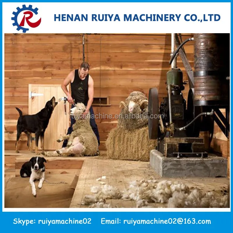 Small Vibration Sheep Shearing Machines - Buy Sheep Shearing Machines ...