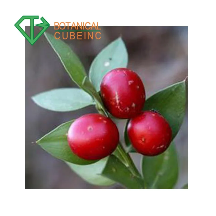 High Quality Ruscus Aculeatus Root Extract/butcher Broom Extract Best ...