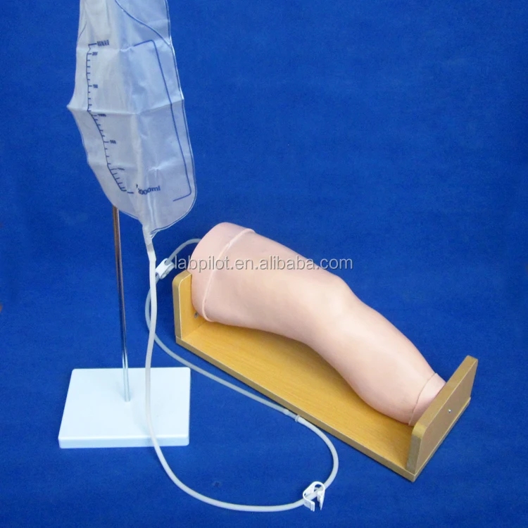 Knee Joint Cavity Puncture And Articular Injection Training Simulator ...