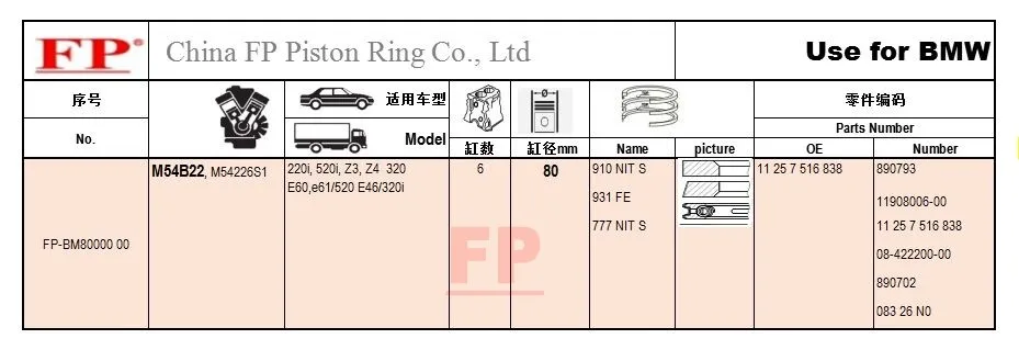 Piston Ring for BMW M54B22 - 11257516838 - 100000 Miles
