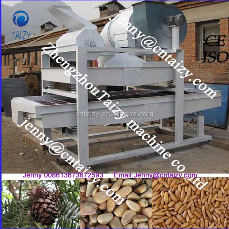 Pine Cone Processing Machine | Pine Cone Nuts Sheller /shelling Machine ...