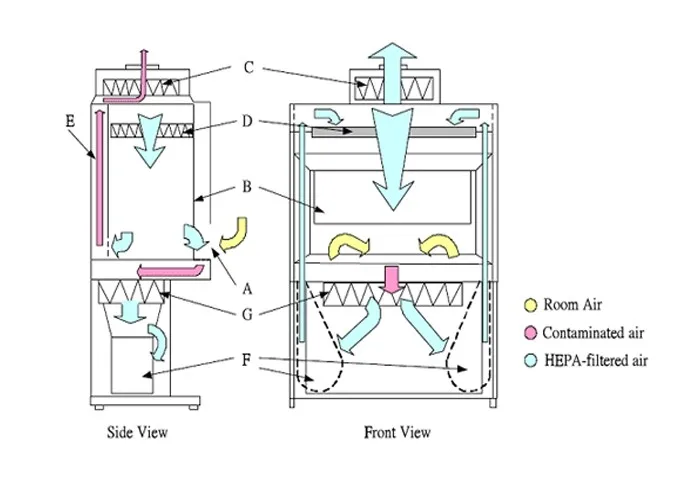 Lab Hepa Filter Class 1/2/3 Biological Safety Cabinet - Buy Biological ...
