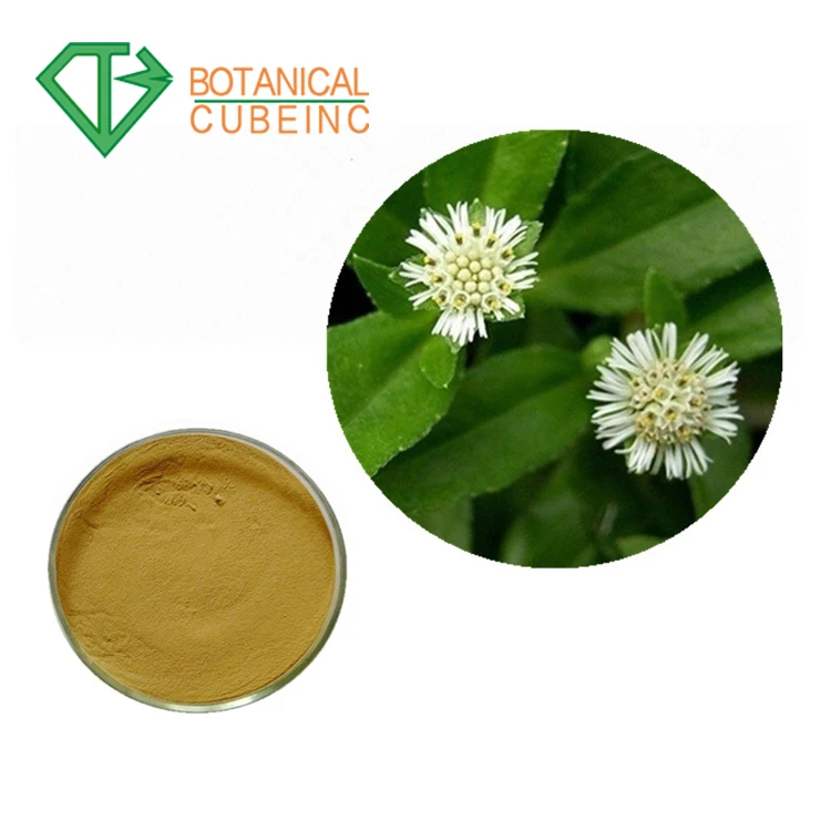 Herba Ecliptae - 100% Natural Eclipta Prostrata Extract