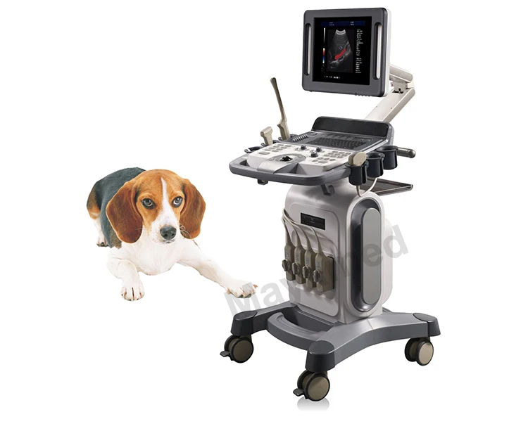 High Flexibility Vet Full Digital Color Doppler Ultrasonic Diagnostic ...
