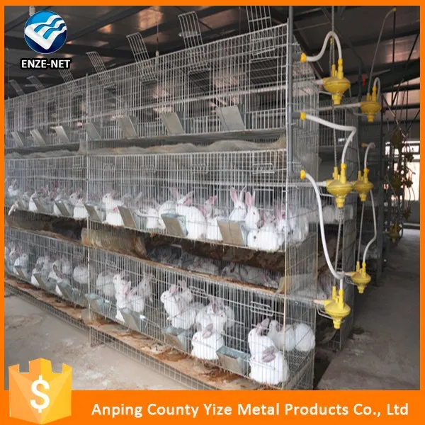 Commercial Rabbit Farming