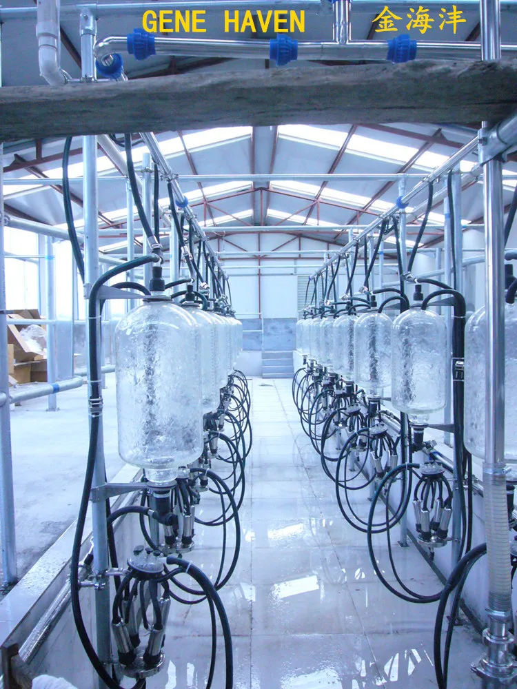 JHF-G1 Glass Milk Recorder Herringbone Goat Milking Machine Parlor