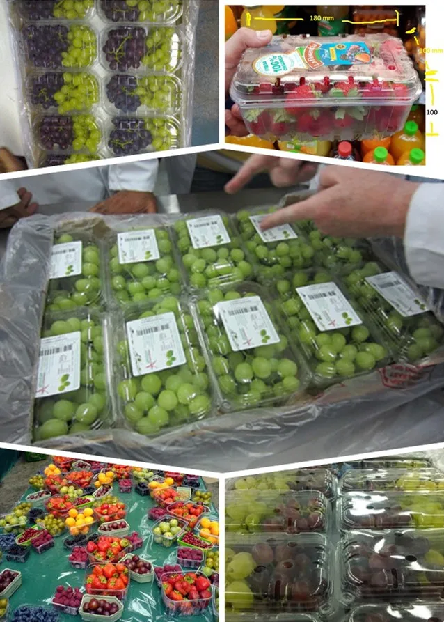Eco-friendly Punnet Packaging for Fresh Fruit & Vegetables