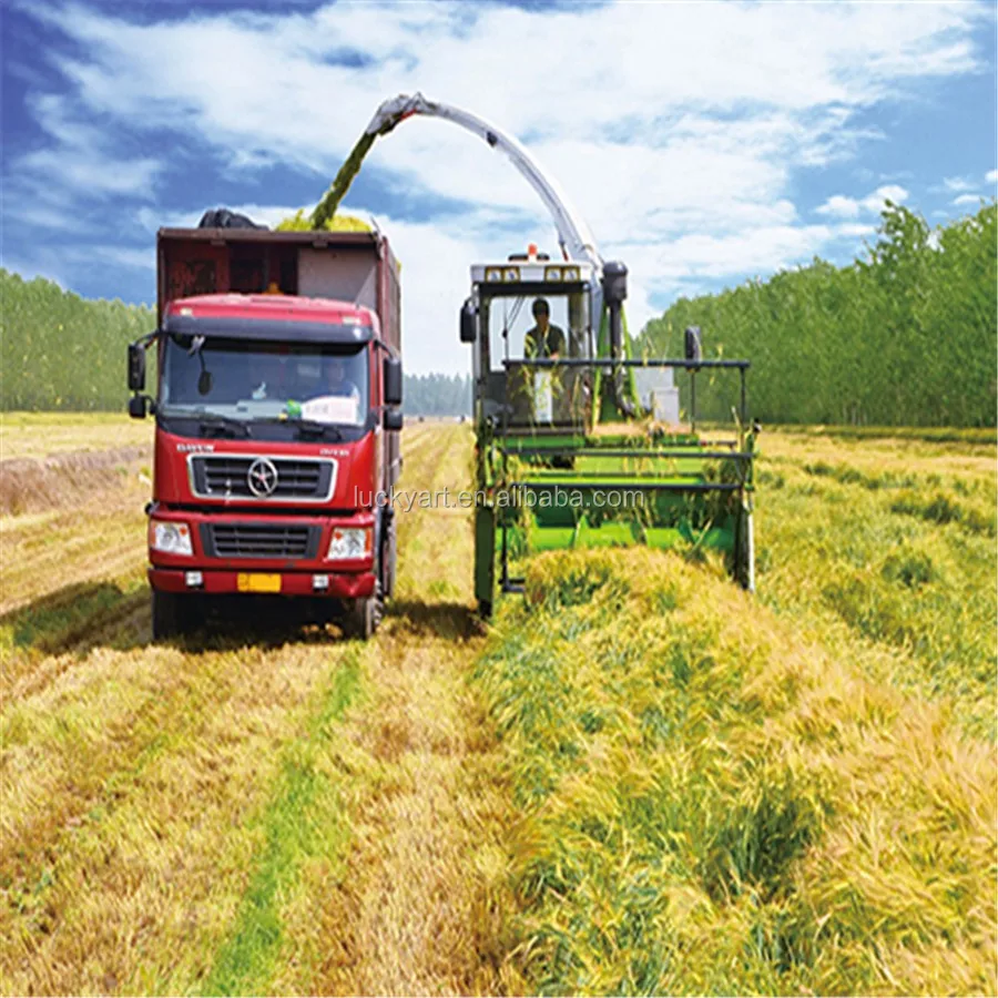 Pto-driven Tractor Towed Forage Silage Harvester Used By Small Family ...