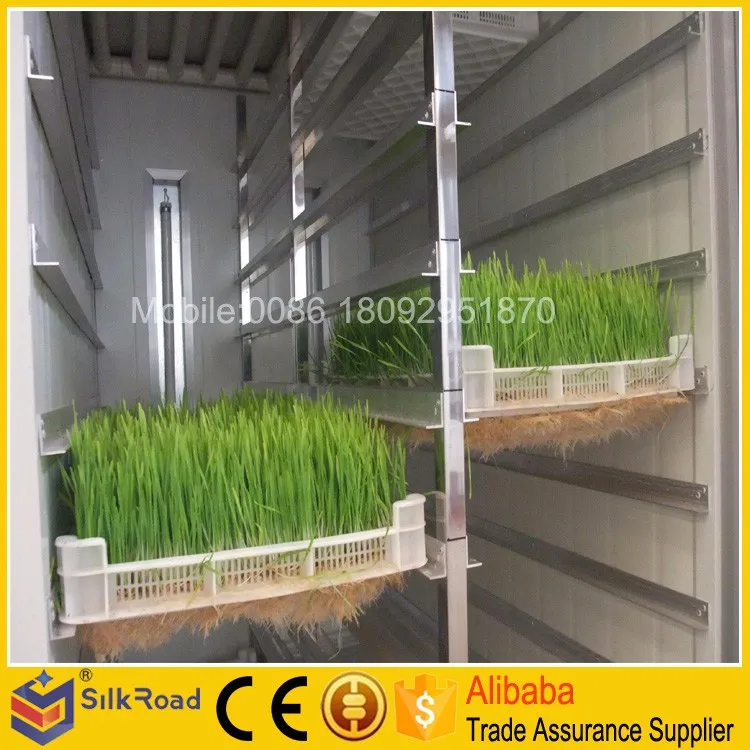 Factory Supply Commercial Sprout Equipment Sprouting Seeds - Buy Sprout ...