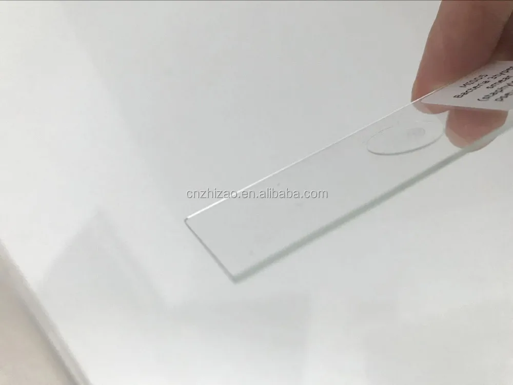 High Quality Educational 100pcs Set Prepared Microbiology Slides