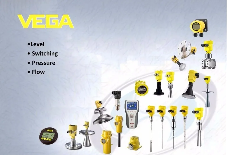 Competitive Prices Vega Capacitive Liquid Level Sensor Cp62.xxagszkmx ...