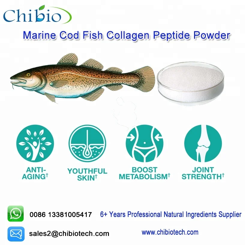 Manufacture Supply Pure Marine Cod Fish Collagen Peptide Powder - Buy ...