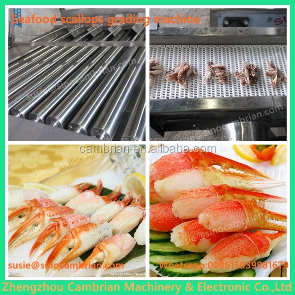 5 Levels Sorting Mussel Sorter Mussel Sorting Machine with Rotation ...