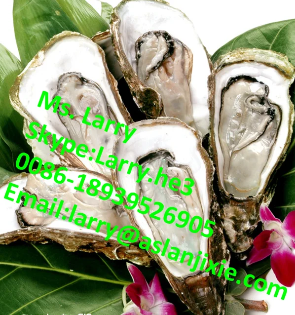 Scallops Cleaning Machine/scallops Washing Machine - Buy Scallops ...