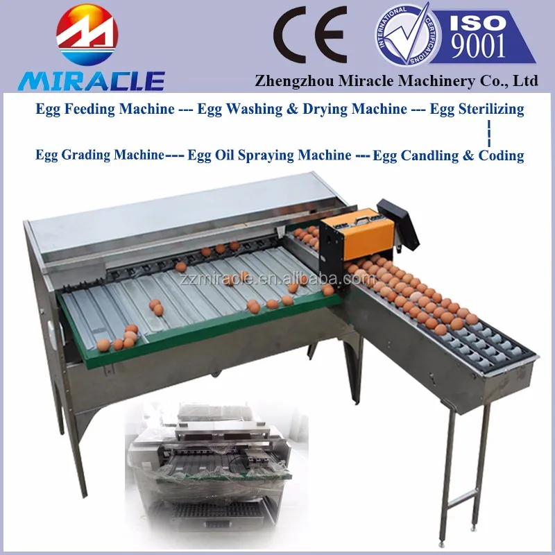 Machine Électrique De Lavage,Séchage Et Lavage Des Œufs De Poulet Frais,Pour La Transformation ...