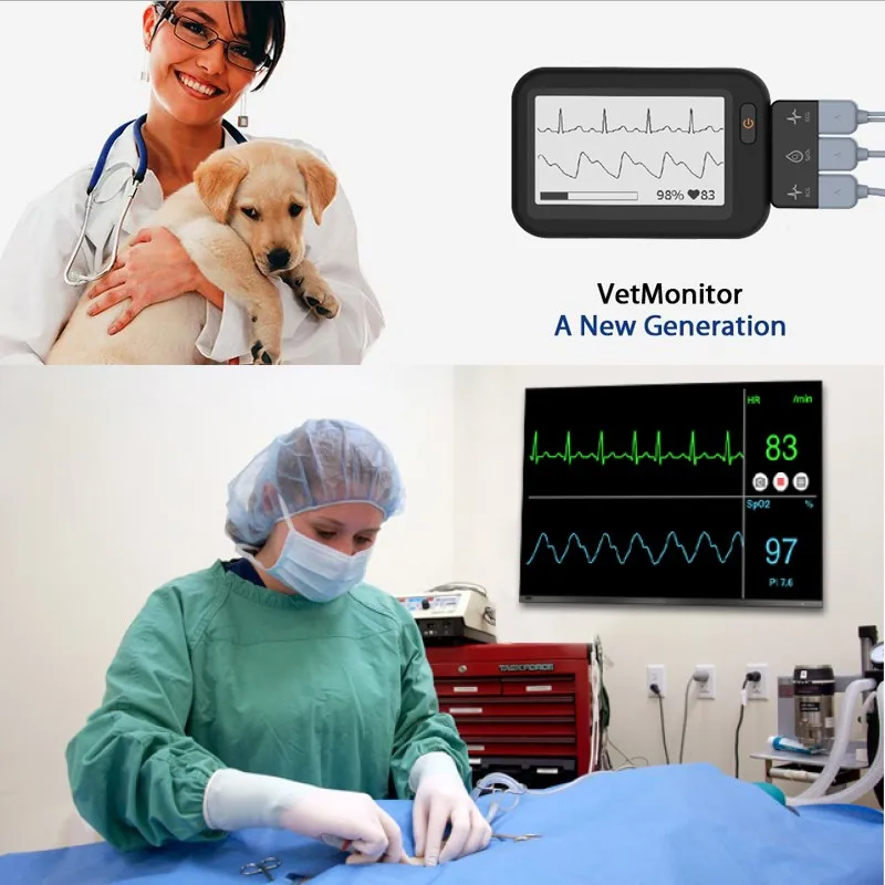 Viatom Checkvet Wireless Animal Ecg Monitor For Pet With Touch Screen ...